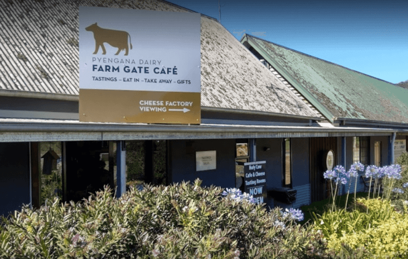 Recreational tour and lunch - Tassie Tours and Transfers